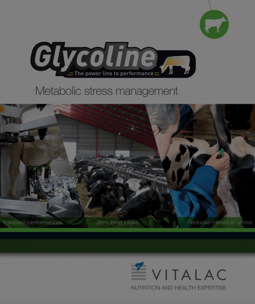 Alwtania- Import & Export – Together we can do more